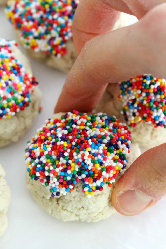 Gluten-Free Italian Anise Cookies (Vegan, Allergy-Free) "Anisette Cookies"