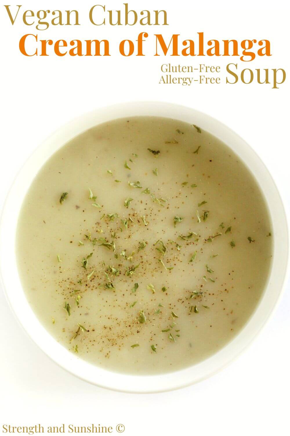 Vegan Crema de Malanga (Cuban Cream of Malanga Soup)